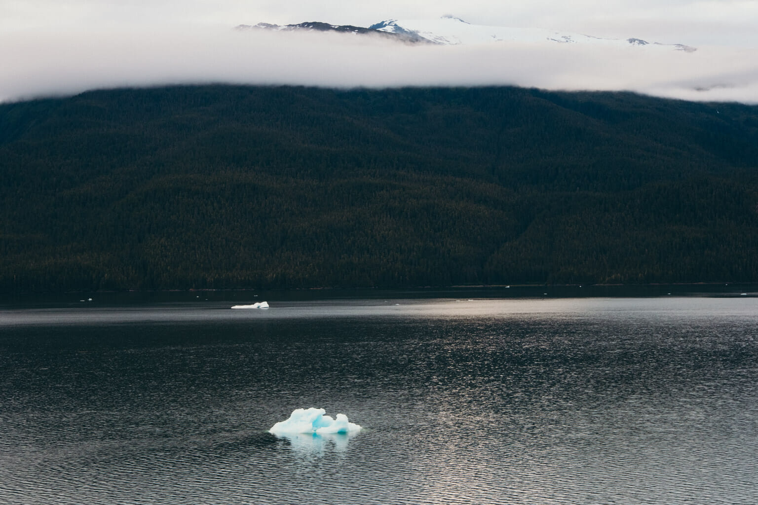 Endicott Arm and Dawes Glacier | Alaskan Fjord Cruise on Celebrity Solstice