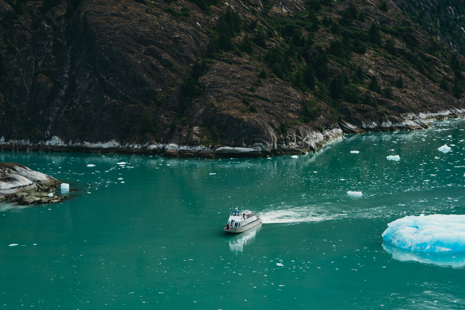 Endicott Arm and Dawes Glacier | Alaskan Fjord Cruise on Celebrity Solstice